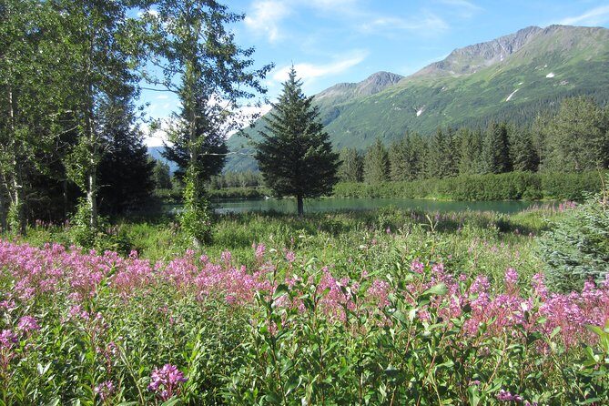 Stunning Turnagain Arm Tour: "A Must See Destination" - What to Expect from the Turnagain Arm Tour