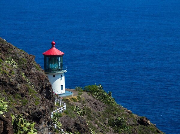 Stunning Views of Oahu: Half-Day Scenic Tour with 7 Lookouts - Key Points
