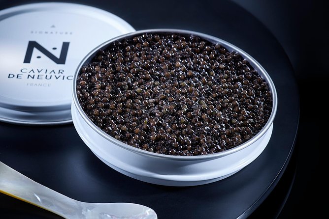 Sturgeon Fish-Farm Visit and Caviar Discovery Tasting in Neuvic - Highlights of the Tour Experience