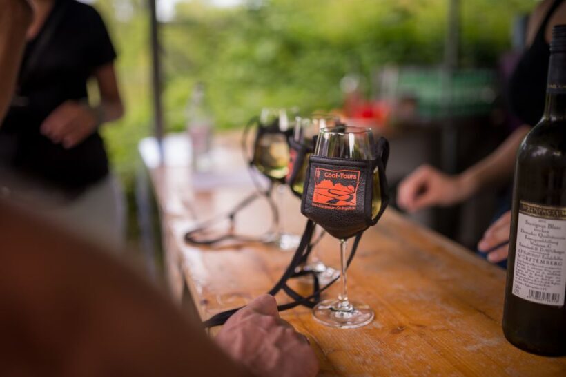 Stuttgart: Guided Vineyards Tour - Who Will Love This Tour?