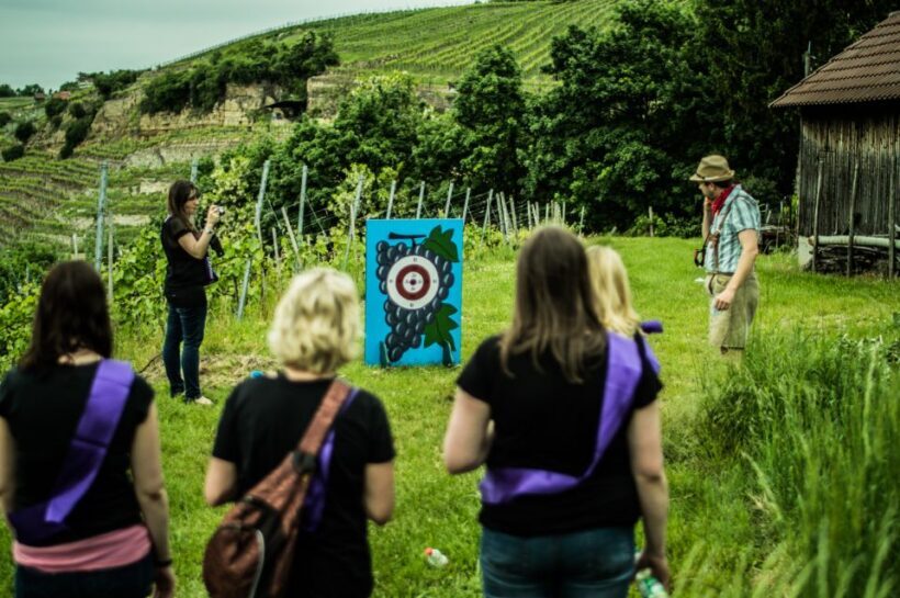 Stuttgart: Guided Vineyards Tour - The Sum Up