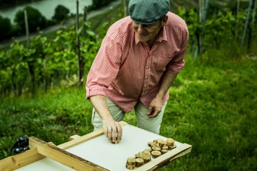 Stuttgart: Guided Vineyards Tour - FAQ