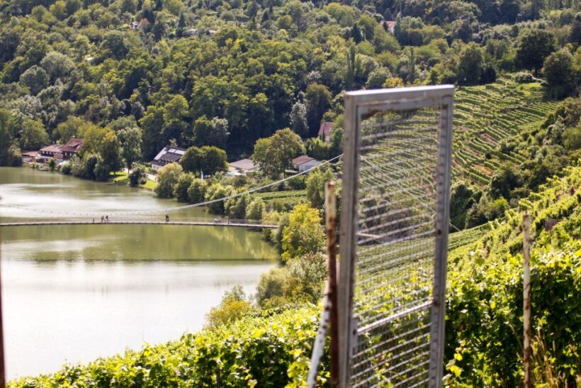 Stuttgart Nature Experience Day - The Sum Up