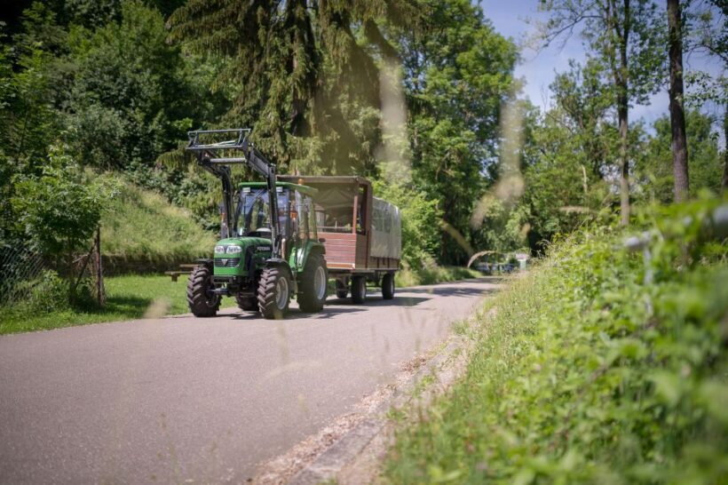 Stuttgart: Vineyard Tour by Covered Wagon - Authenticity and Local Flavor