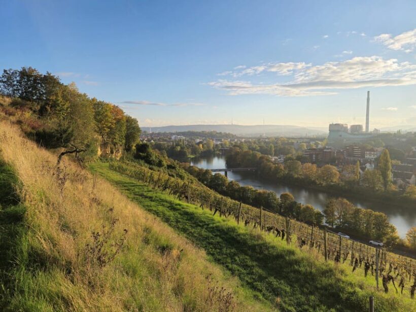 Stuttgart: Wine & Tapas Boat Tour on the Neckar - Key Points