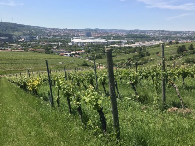 Stuttgart: Wine Tour with wines of the best winemakers - FAQ About the Stuttgart Wine Tour