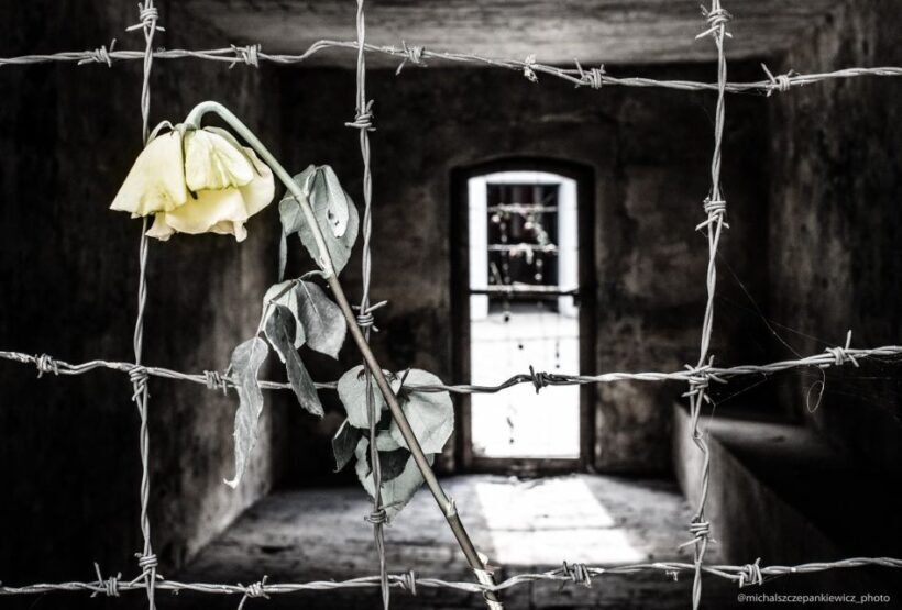 Stutthof Concentration Camp Half-Day Private Tour - Final Thoughts