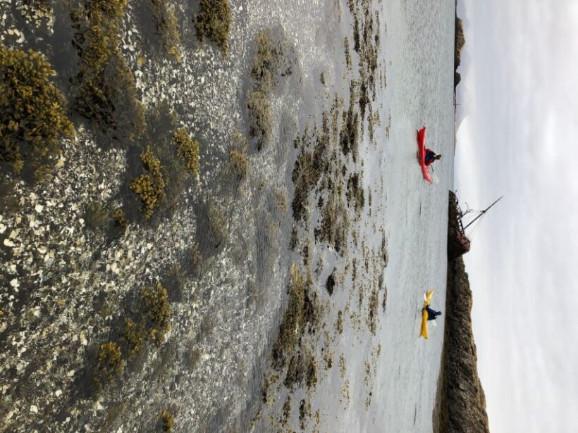 Stykkishólmur: 2-Hour Sea Kayak Tour - The Experience: Pros and Cons