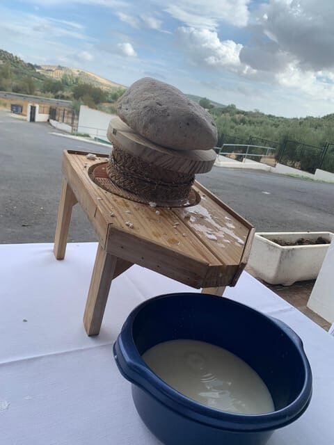 Subbética: artisanal cheese making workshop in Los Balanchares - Final Thoughts