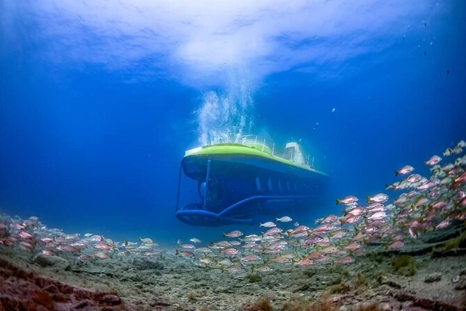 SUBMARINE ADVENTURE - SUBMARINE Excursion in Puerto De Mogán - Meeting and Pickup Details