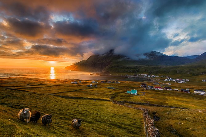 Súðuroy Island Day Tour, Faroe Islands - Who Should Consider This Tour?