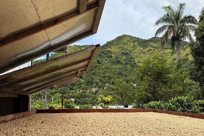 Sueños de Cafe - A Coffee Lovers Dream - Key Points