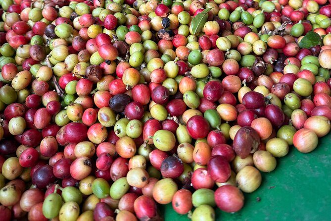 Sueños de Cafe - A Coffee Lovers Dream - The Experience in Context