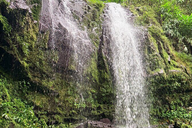 Sueños de Cafe - A Coffee Lovers Dream - FAQ