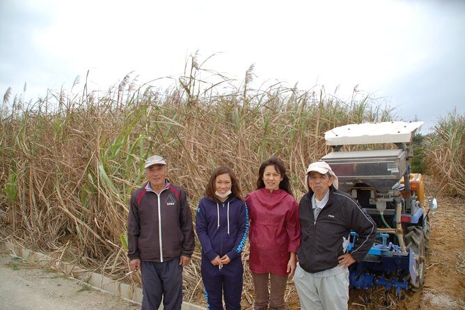 Sugarcane cutting experience with Okinawa's grandfather - Key Points