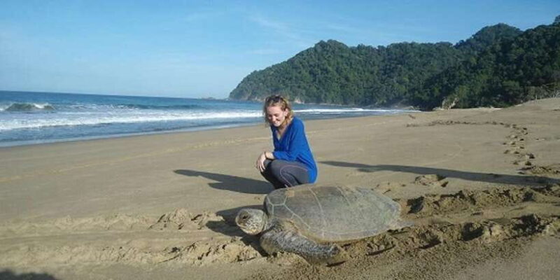 Sukamade: A Private Tour To See Turtle Lay Egg (2D/1N) - Key Points