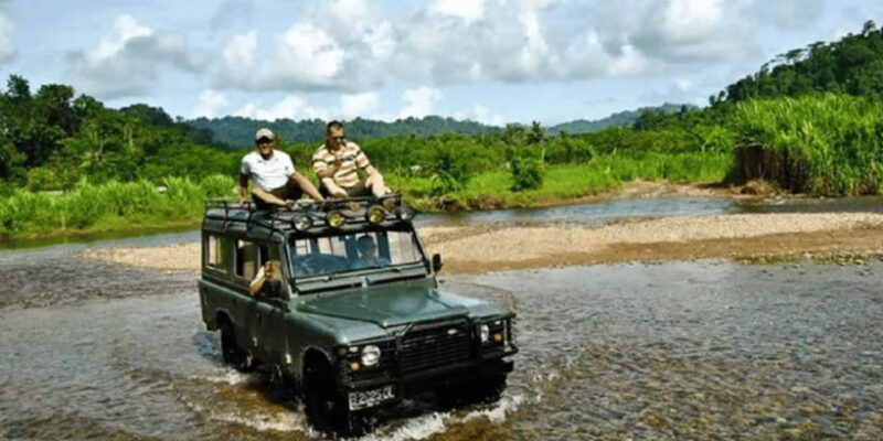 Sukamade: A Private Tour To See Turtle Lay Egg (2D/1N) - The Sum Up