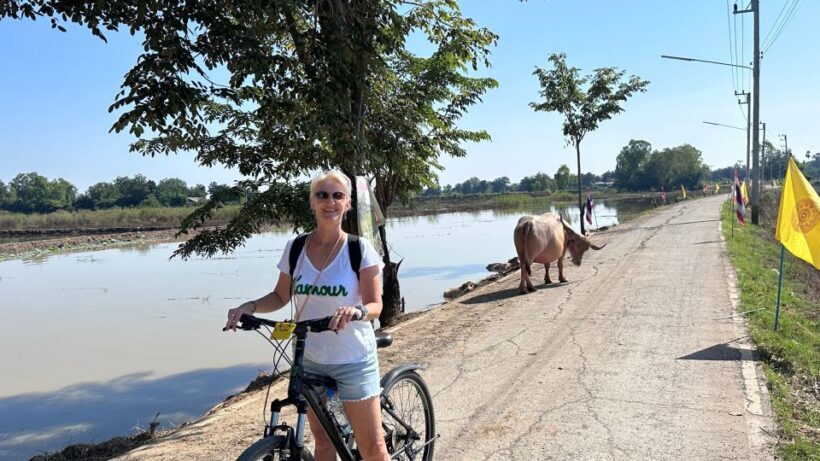 Sukhothai: Half-Day Countryside Bike Tour - Key Points