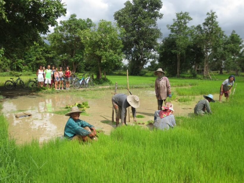 Sukhothai: Half-Day Countryside Bike Tour - FAQs
