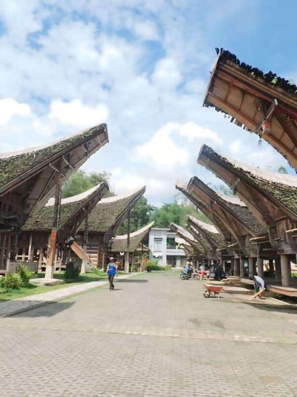 Sulawesi: Toraja Cultural Tour - Panoramic Views and Ancient Relics