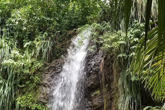 Sulphur Springs Tour - FAQ