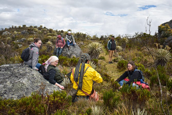 Sumapaz Páramo Private Hike Tour With Lunch - Preparation and Recommendations