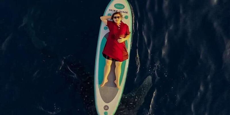 Sumbawa Tour 2 Days 1 Night ( Whale Shark Tour) - The Itinerary Breakdown: From Land to Sea