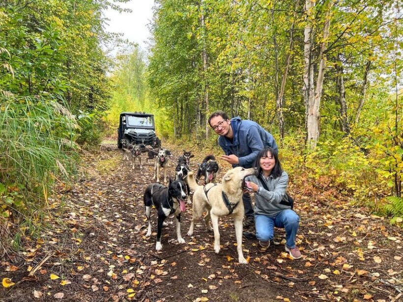 Summer Dog Sled Ride and Kennel Tour - Introduction