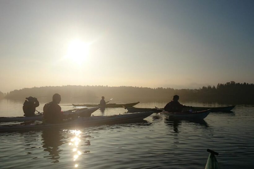 Summer Evening in a Sea Kayak, Turku Archipelago - Key Points