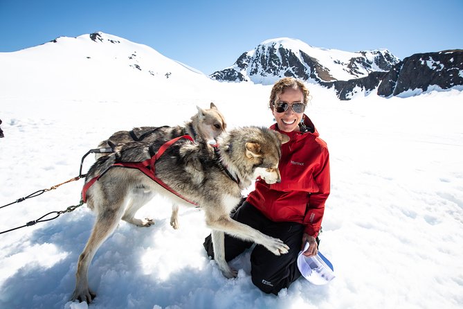 Summer Glacier Dogsledding Tour From Girdwood - Group Size and Personalized Attention