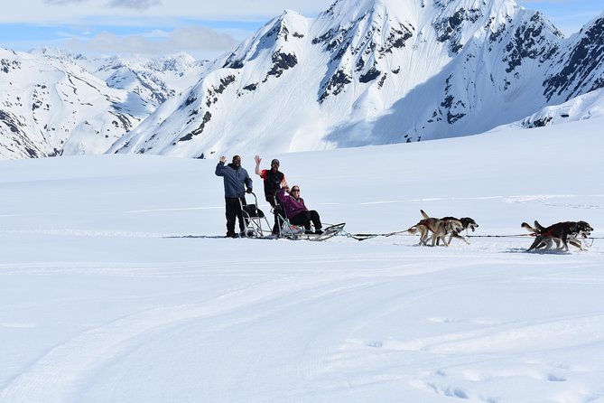 Summer Glacier Dogsledding Tour From Girdwood - Safety Considerations and Requirements