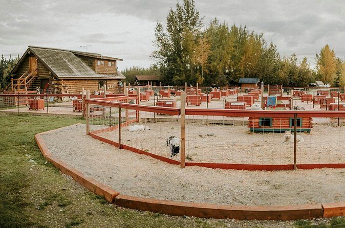 Summer Kennel Visit at Historic Trail Breaker Kennel - FAQ: Common Questions About the Trail Breaker Kennel Summer Tour