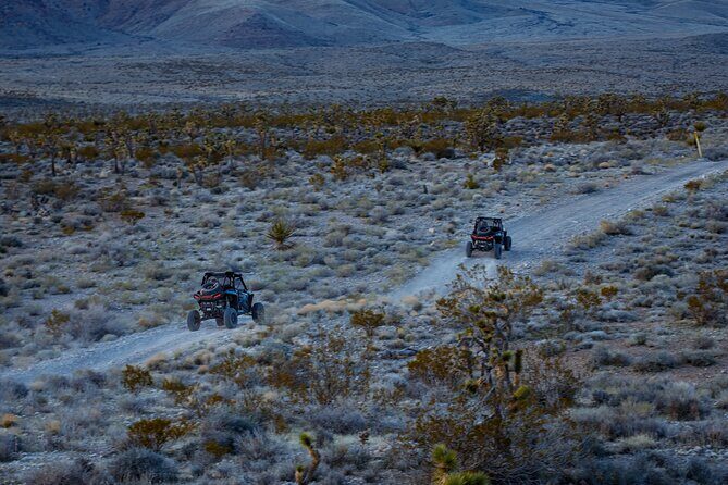 Summer Mojave Desert Twilight RZR Quest in Las Vegas - Frequently Asked Questions