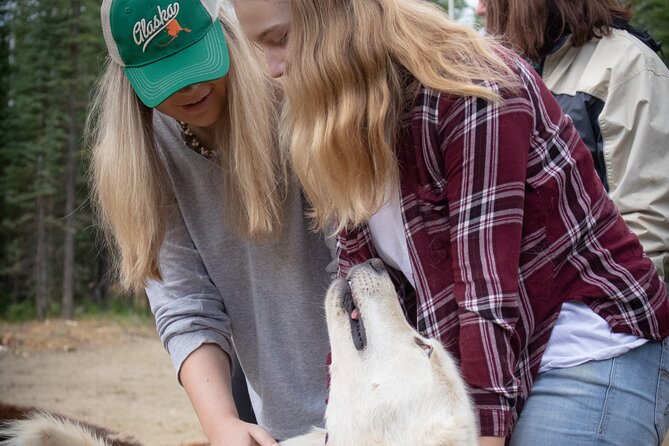 Summer Mushing Cart Ride & Kennel Tour - FAQ