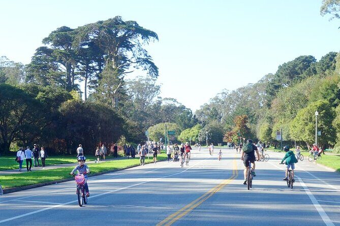 Summer of Love San Francisco Guided eBike Tour Golden Gate Park - Introduction