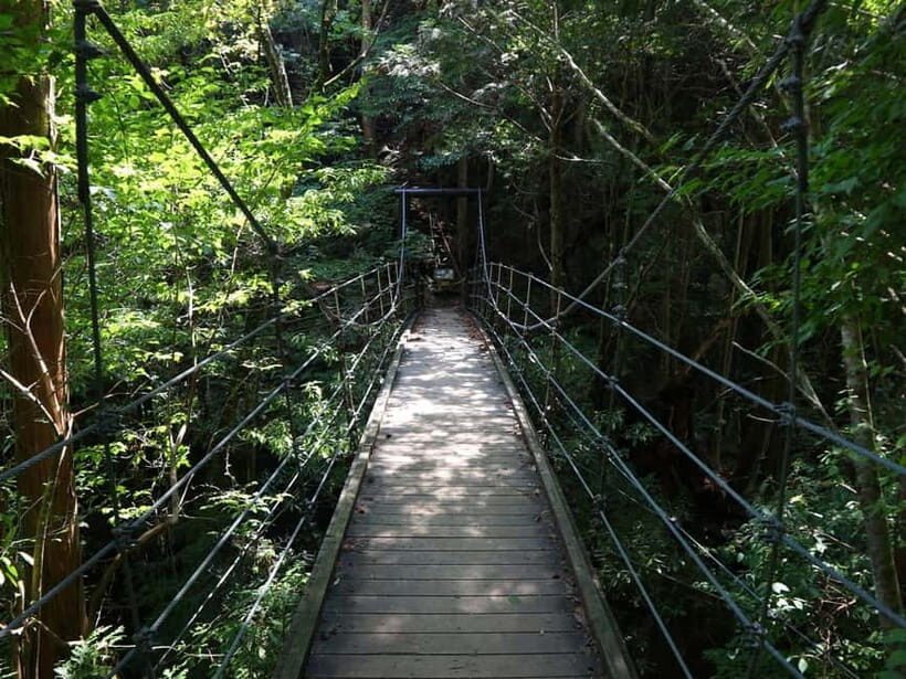 Summer Only Tour: Hidden Gems of the Kiso Valley (Nagoya) - Analyzing the Value: Is It Worth It?