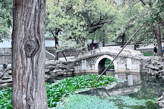 Summer Palace Discovery Small Group Tour with Expert Guide - The Sum Up