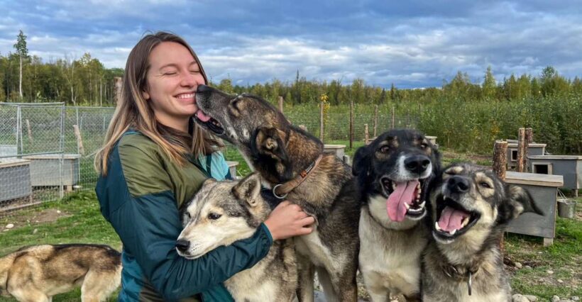 Summer Sled Dog Kennel Tour - FAQ
