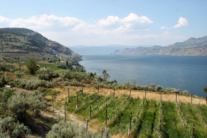 Summerland Private Wine Tour - Full Day - A Detailed Look at the Summerland Private Wine Tour