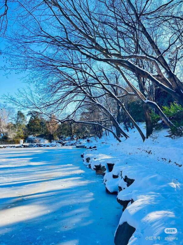 SummerPalace or temple of heaven Ticket with guide(optional) - Who Is This Tour Best For?
