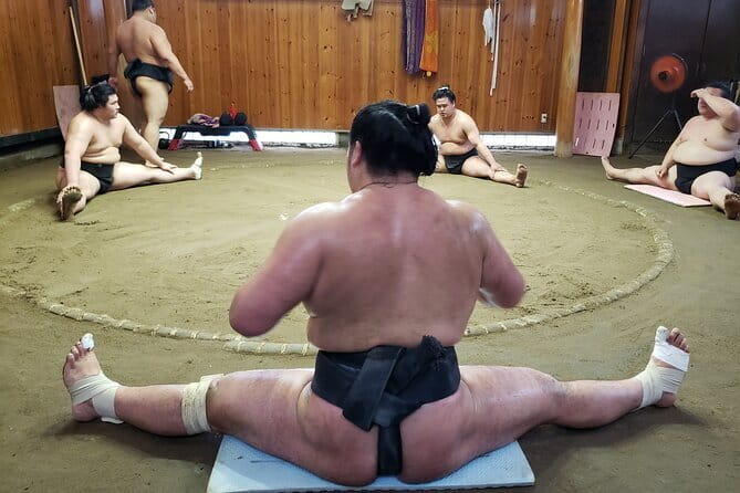 Sumo Practice Viewing Guided Tour and Photo with Sumo Wrestlers - Introduction