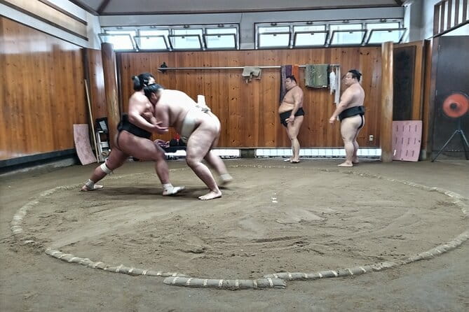 Sumo Practice Viewing Guided Tour and Photo with Sumo Wrestlers - What Makes This Tour Stand Out