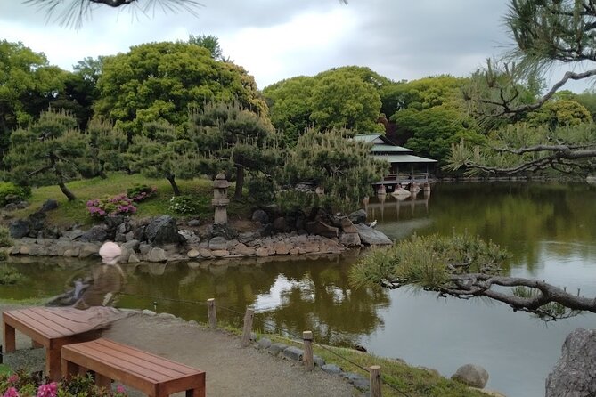 Sumo Practice Watching and Japan's Beautiful Culture and History - Savoring the Flavors of Traditional Japanese Cuisine