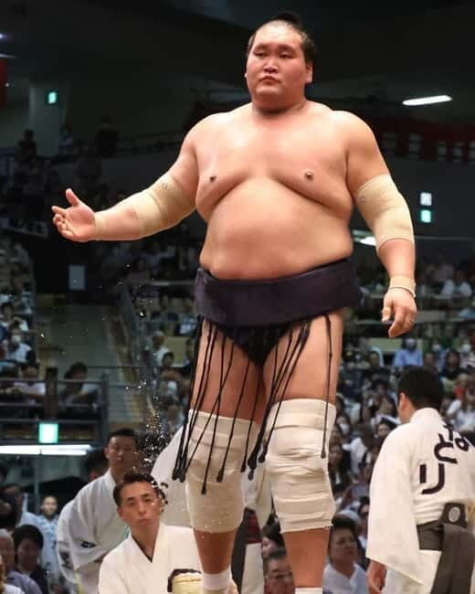 Sumo Tournament: Guided Tour + Ticket & Assigned Seat - An In-Depth Look at the Tour Experience
