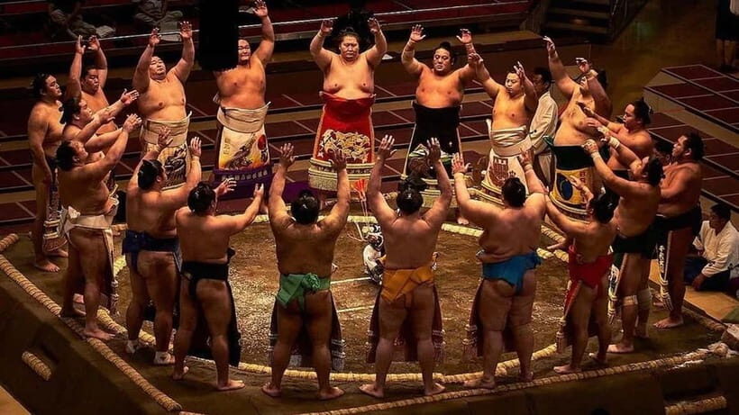 Sumo Tournament: Guided Tour + Ticket & Assigned Seat - The Sum Up