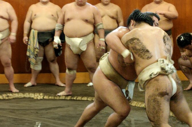 Sumo Training Watching Experience - Key Points