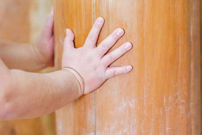 Sumo Training Watching Experience - Accessibility and Participation Guidelines