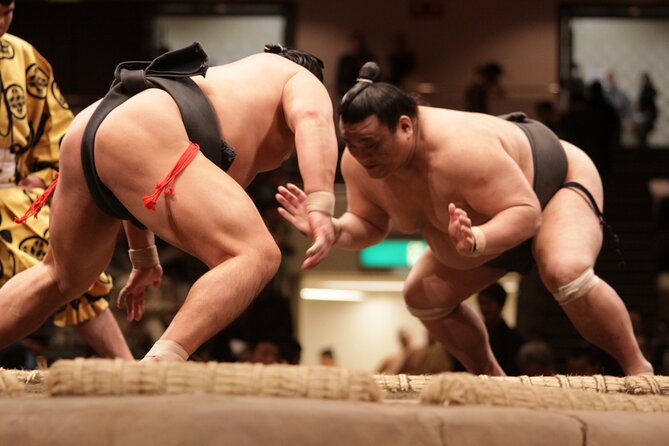 Sumo Wrestling Tournament A-Class Seat & ExpertGuide | Nagoya Jul - Included Services