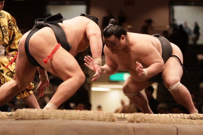 Sumo Wrestling Tournament A-Class Seats & ExpertGuide | Tokyo MAY - Highlights of the A-Class Sumo Wrestling Experience