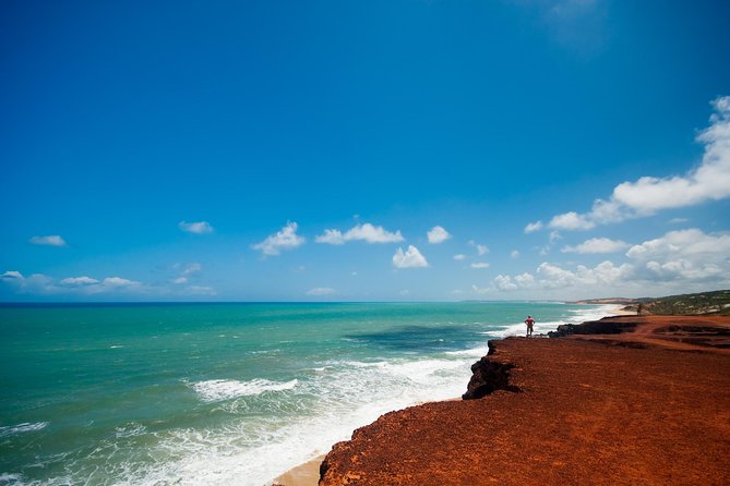 Sun and Fun at Pipa Beach: Day Tour From Natal - Local Markets and Shopping